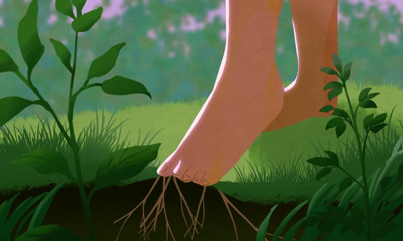 Treaty 2 | Treaties | Whose.Land