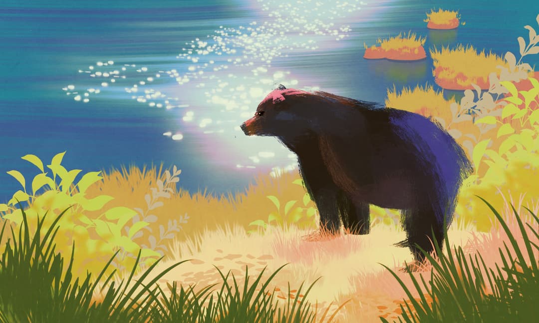 Treaty 11 | Treaties | Whose.Land